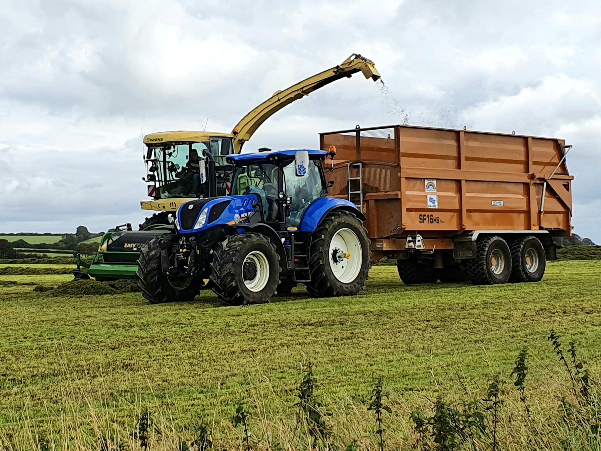 Farming - Dorset CPRE
